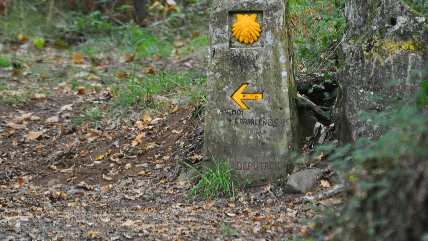 Twenty forth article of the Universal Declaration of Human Rights ...