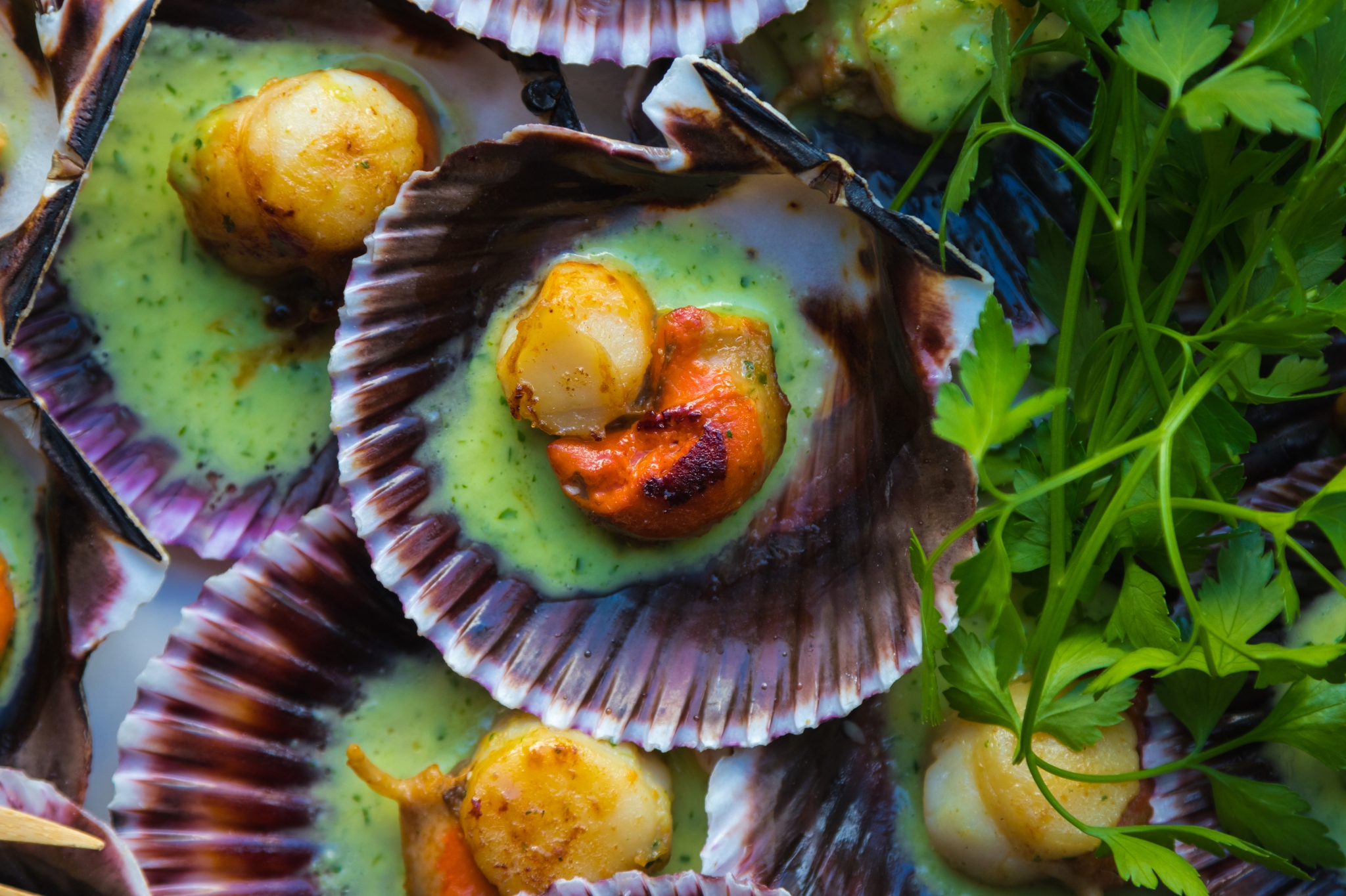 Zamburiñas: Galicia’s Atlantic Shellfish with a Sense of Place - Pilgrimaps