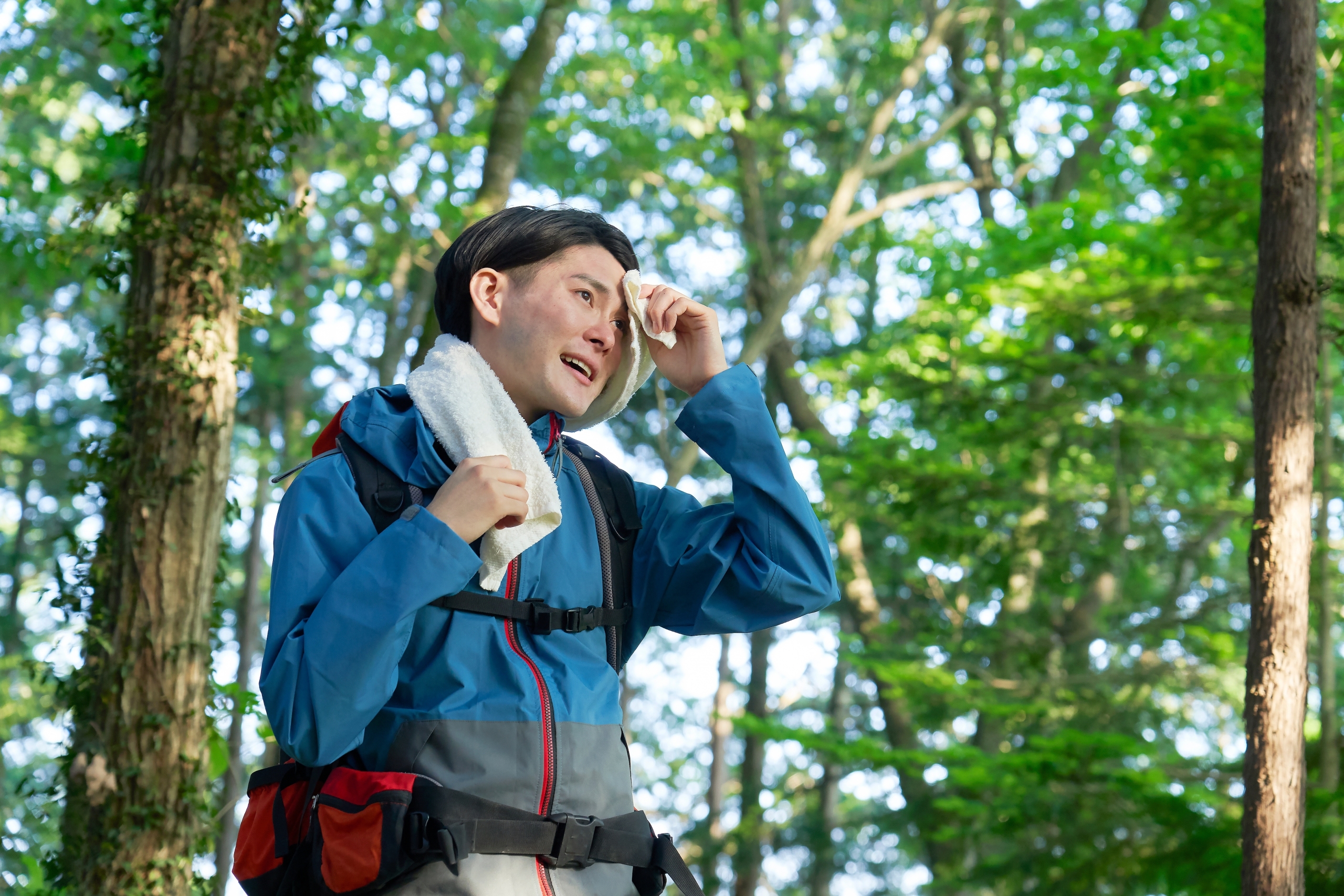 Pilgrim skin: 10 practical strategies for healthy skin on the road ...